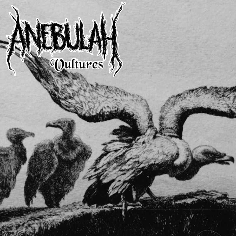Din of Celestial Birds - Anebulah: Song Lyrics, Music Videos & Concerts