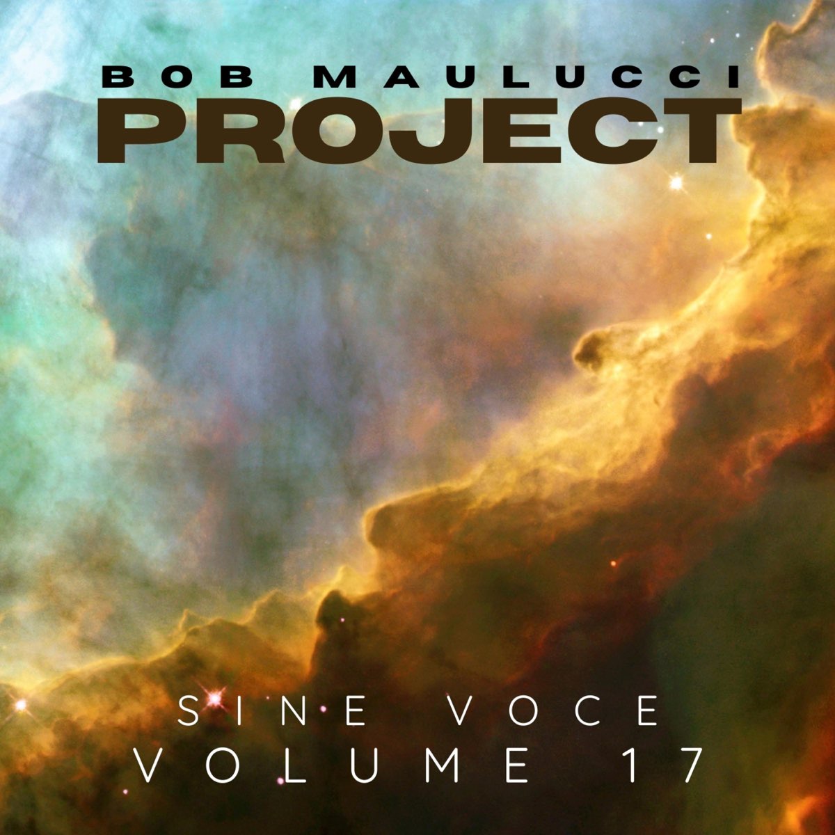 ‎Sine Voce, Volume Seventeen - Álbum de Bob Maulucci Project - Apple Music