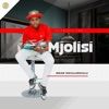 Mjolisi mp3 download song list
