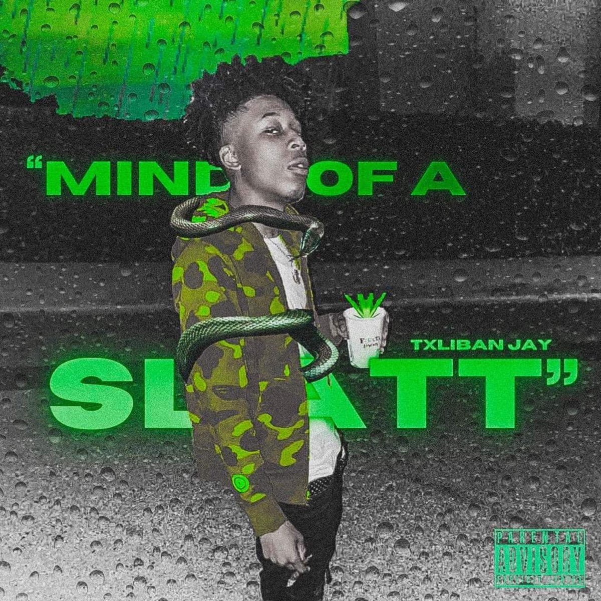 ‎Mind of a Slatt - Album by Txliban Jay - Apple Music