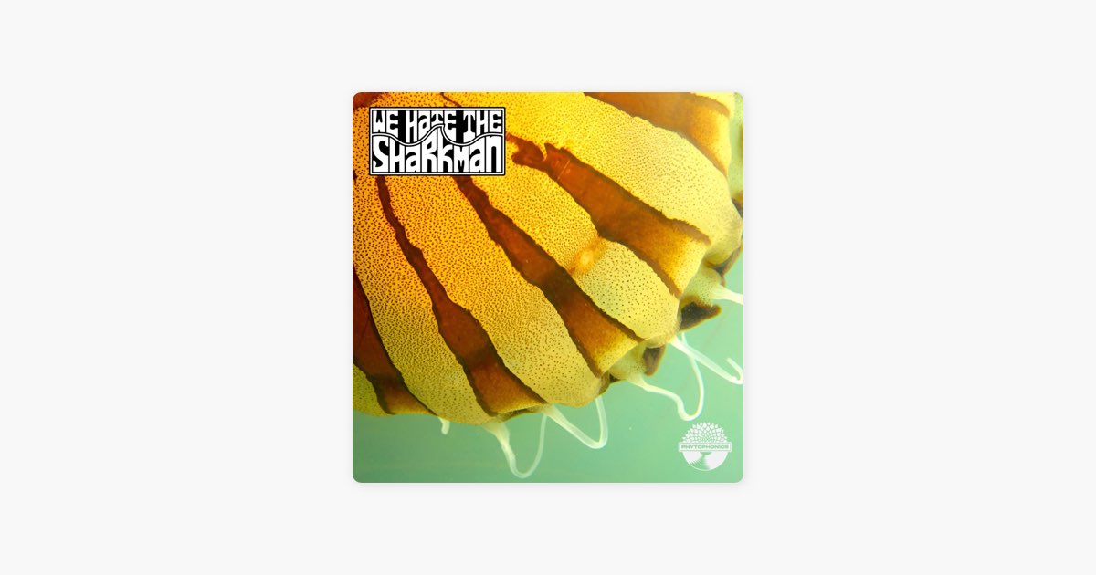 ‎Chicken Gimbal 8000, Pt. 2 - Song by We Hate The Sharkman - Apple Music