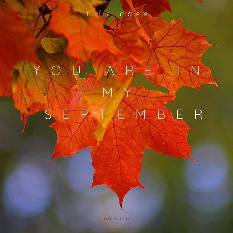 You are in my September - Till.corp.: Song Lyrics, Music Videos & Concerts