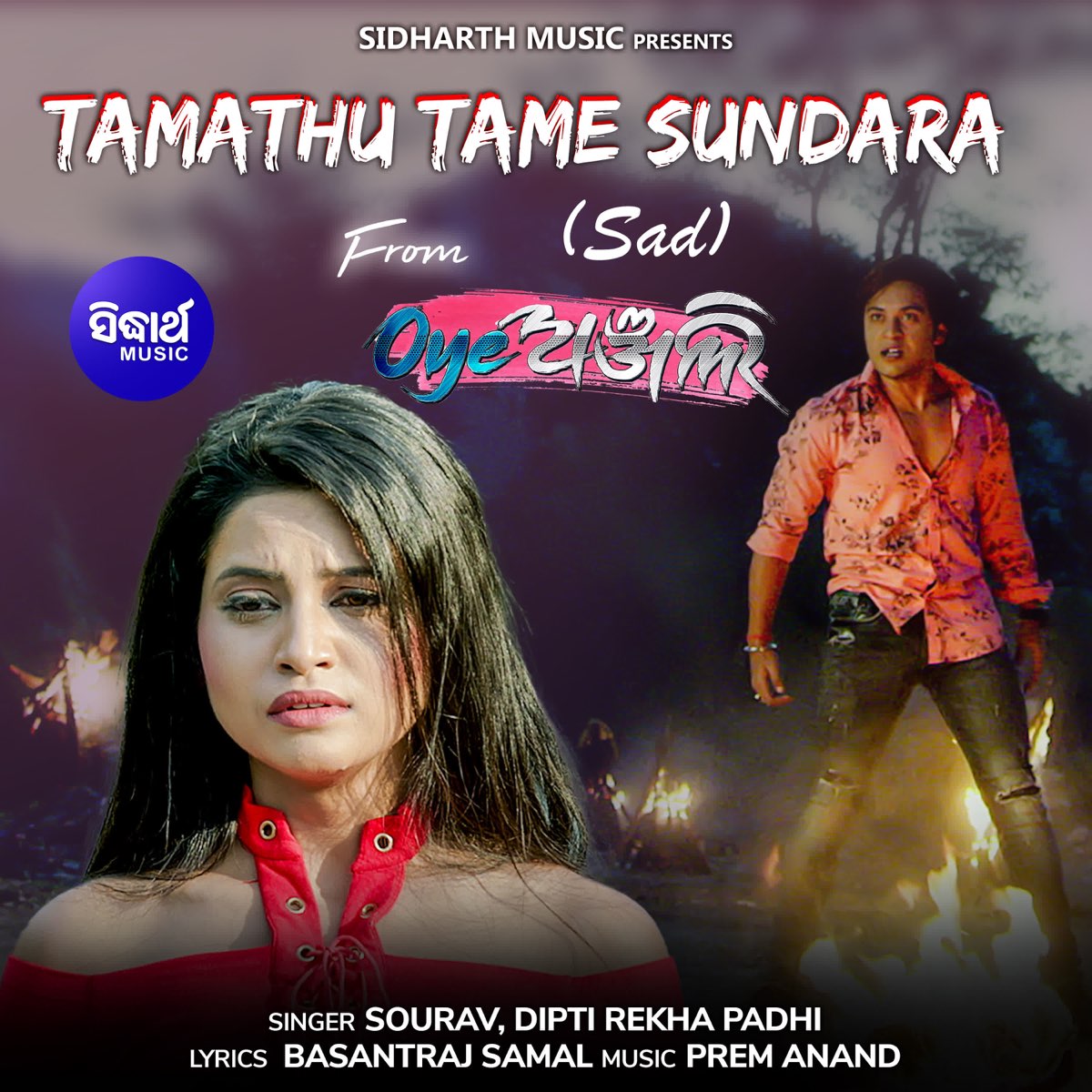 ‎Tamathu Tame Sundara Sad (Oye Anjali) (From "Tamathu Tame Sundara Sad (Oye Anjali)") - Single ...