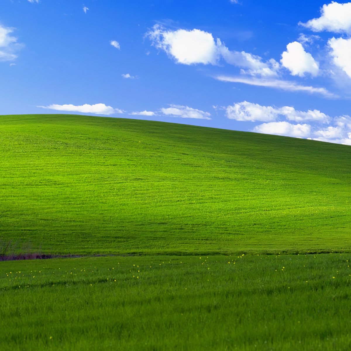 ‎Windows Breakcore - Single - Album by proloxx - Apple Music