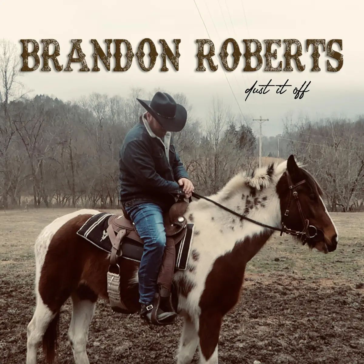 Brandon Roberts - Dust It Off (2024) [iTunes Plus AAC M4A]-新房子