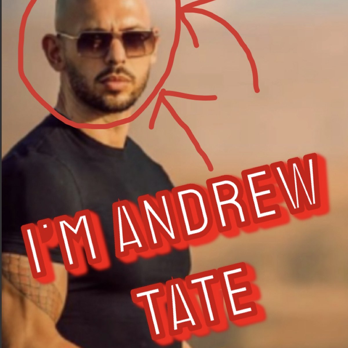 ‎I'M Andrew Tate - Single của Alex Schor trên Apple Music