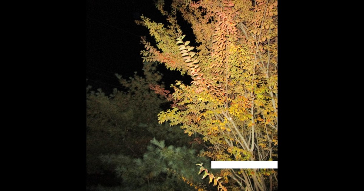 ‎House.md - Single - Album by Aiden Lynch - Apple Music