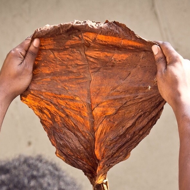 Grabba Leaf (feat. Donv3ra) - BlazintheAsian: Song Lyrics, Music Videos ...