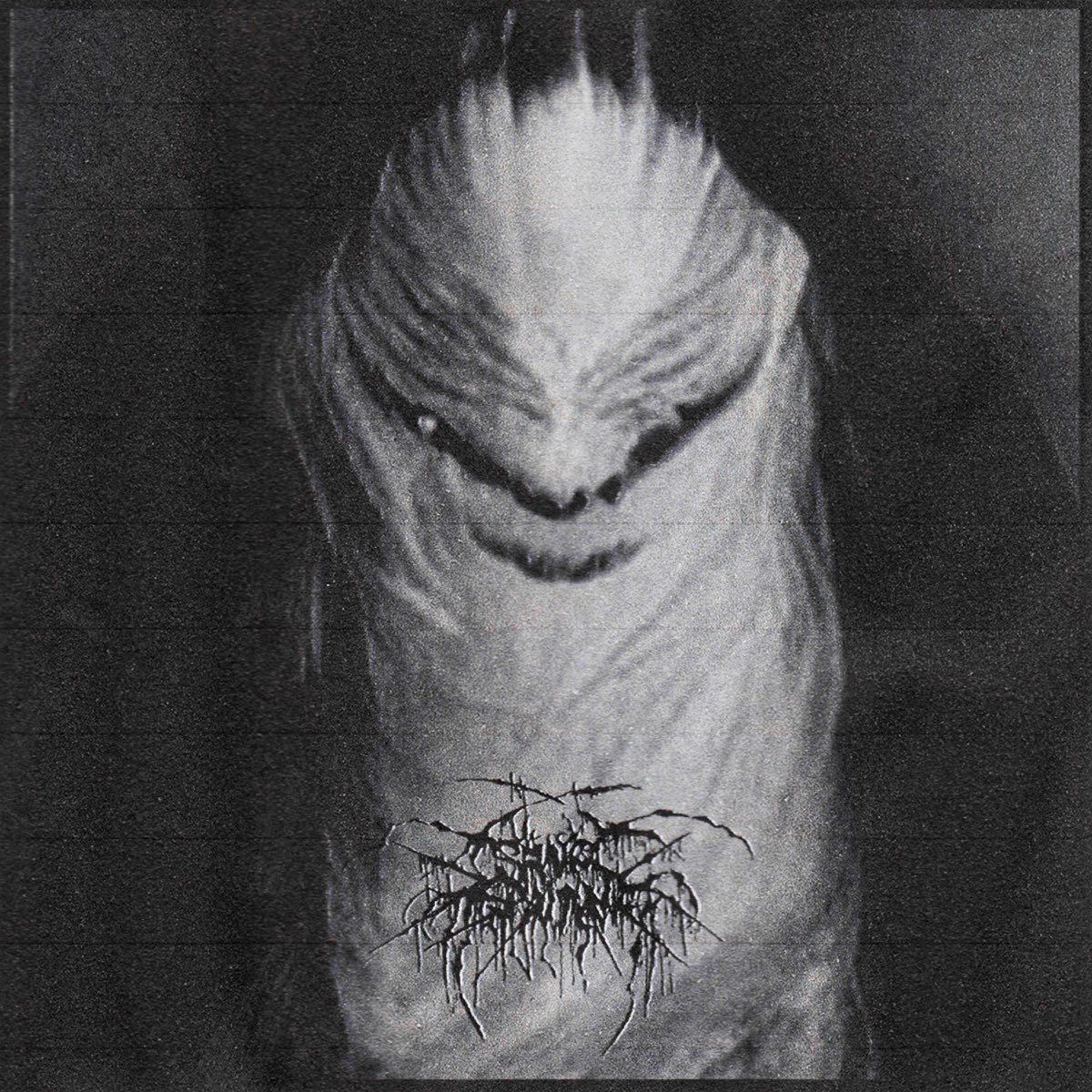 ‎The Process of Drowning - Album by Santos Santana - Apple Music