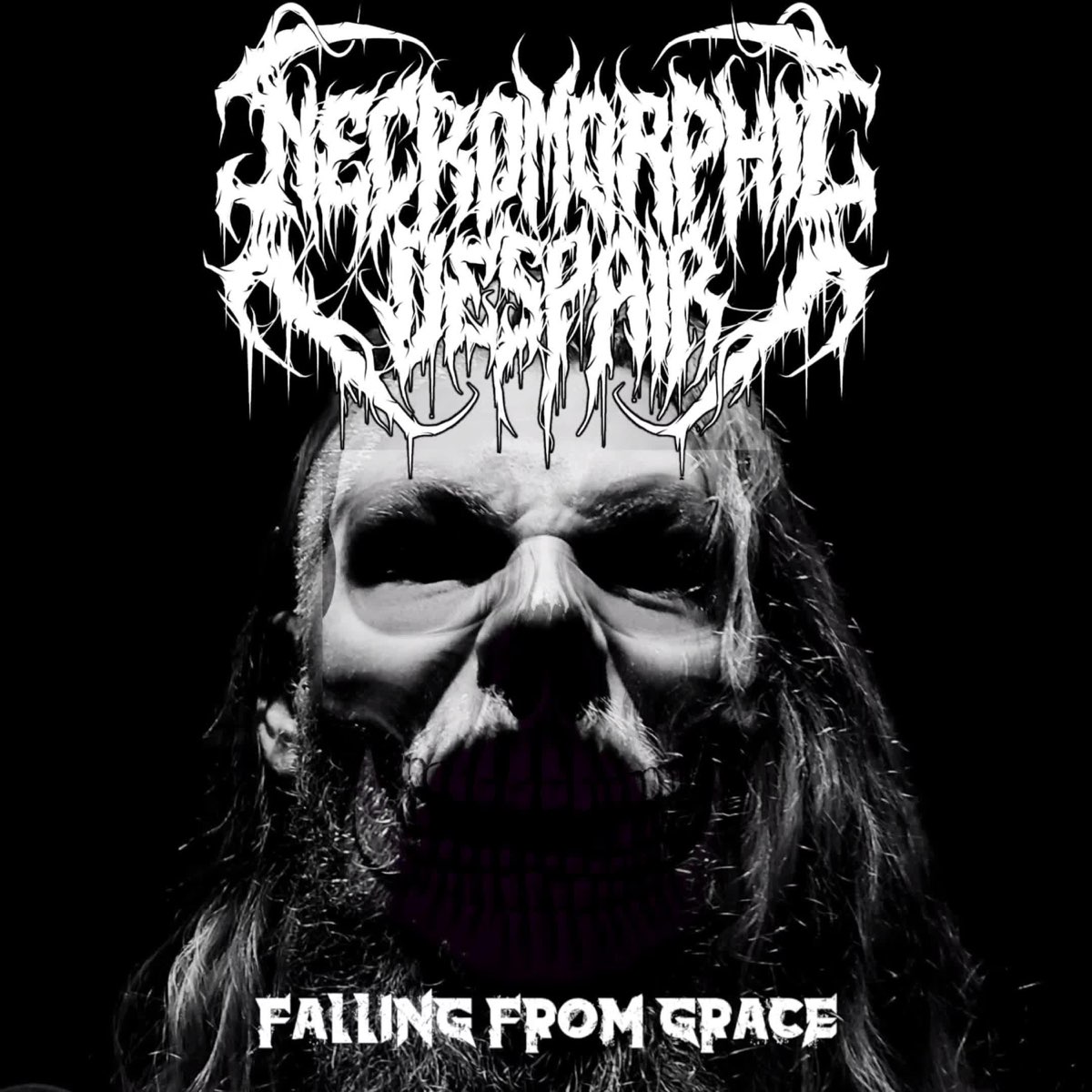 ‎Falling From Grace - Single - Album by Necromorphic Despair - Apple Music