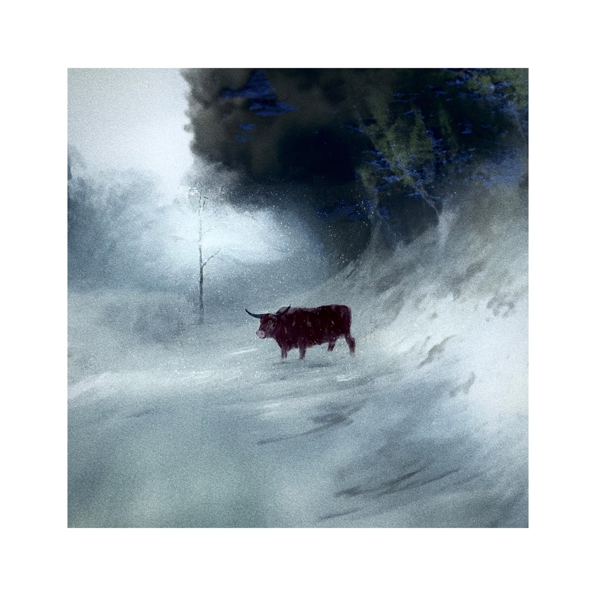 ‎The Ox and the Blizzard - Single - Album by yawning ox - Apple Music