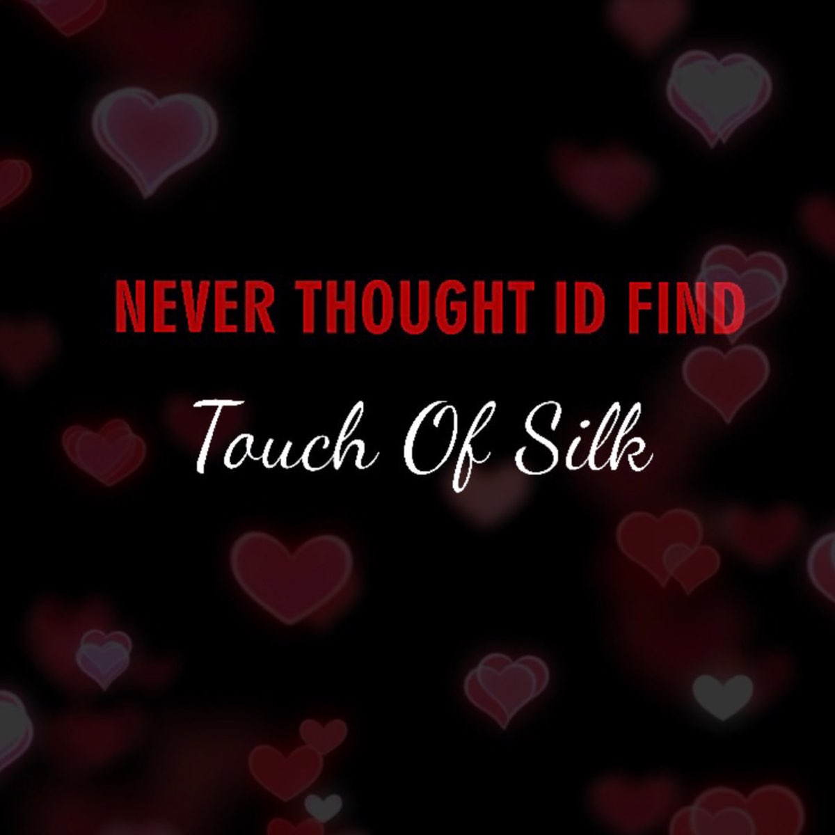 â žnever Thought Id Find Single Album By Touch Of Silk Apple Music