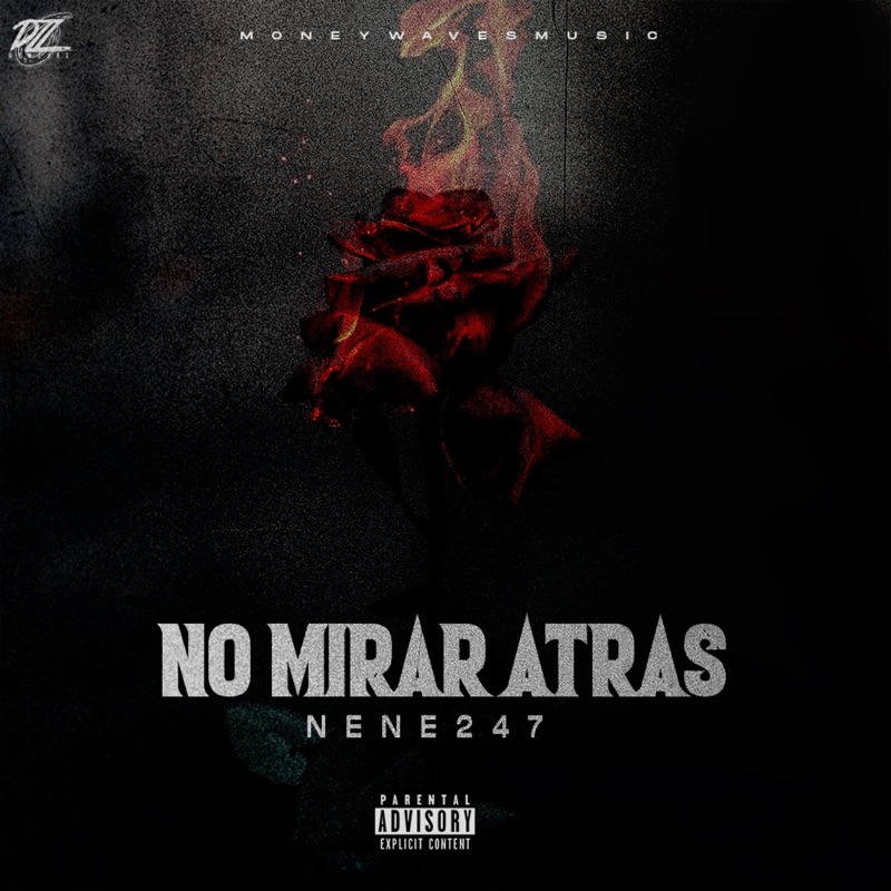 Solo para ti - Nene247: Song Lyrics, Music Videos & Concerts