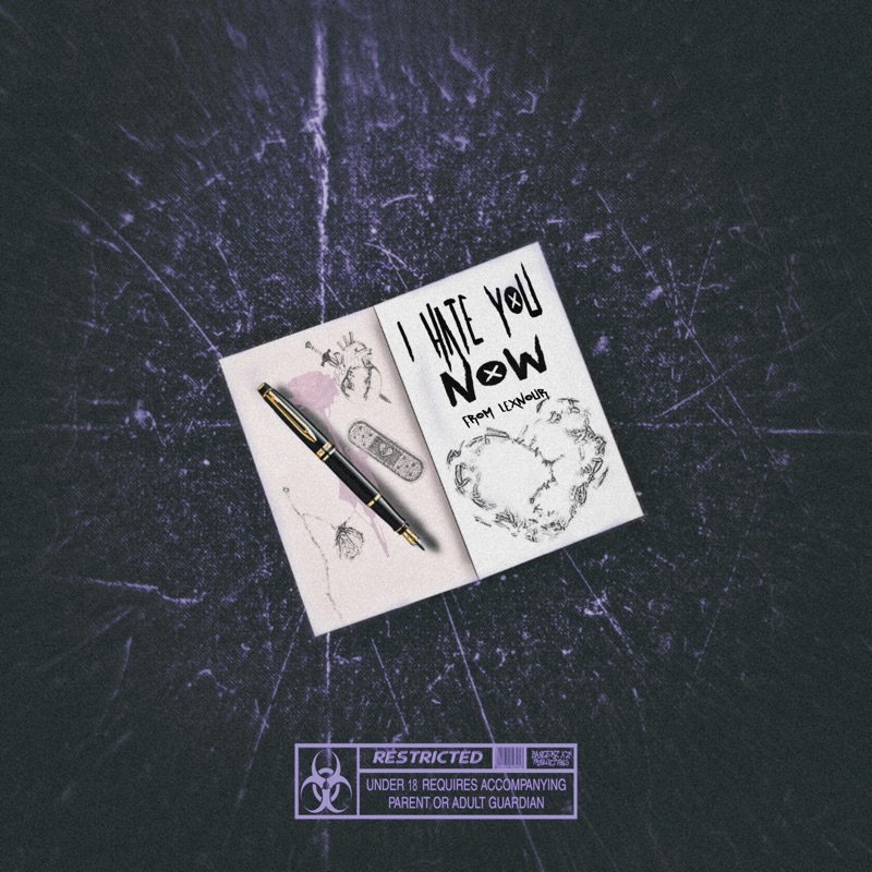 I Hate You Now - Lexnour: Song Lyrics, Music Videos & Concerts