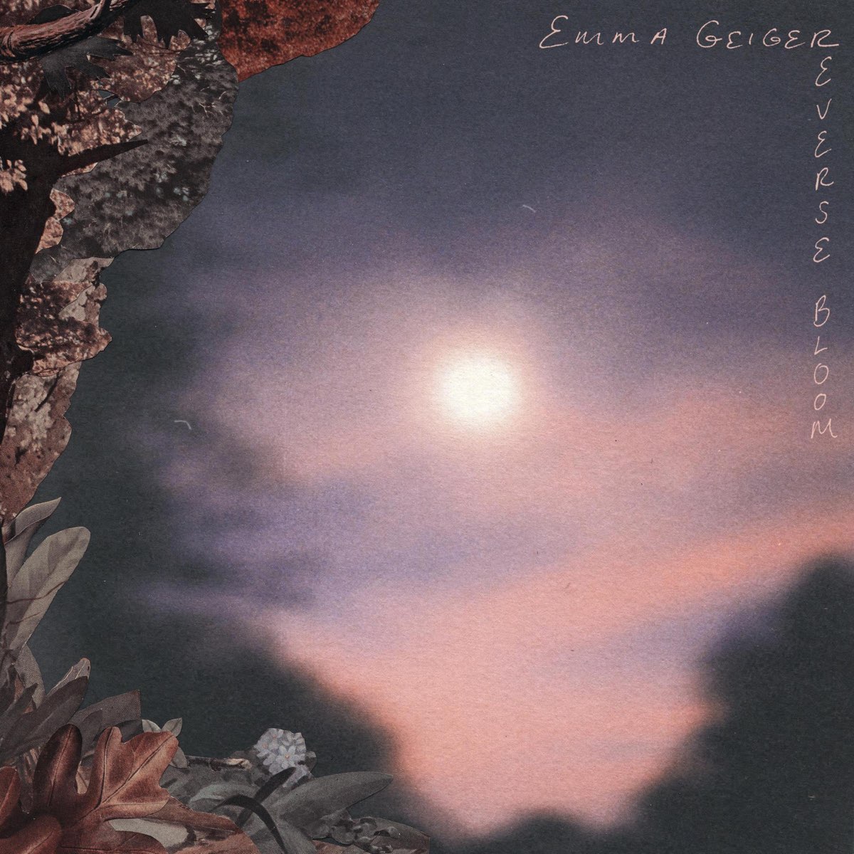 ‎Reverse Bloom - EP - Album by Emma Geiger - Apple Music