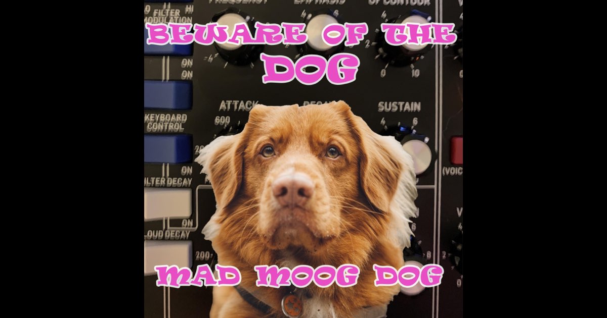 ‎Beware of the Dog - Single - Album by Mad Moog Dog - Apple Music