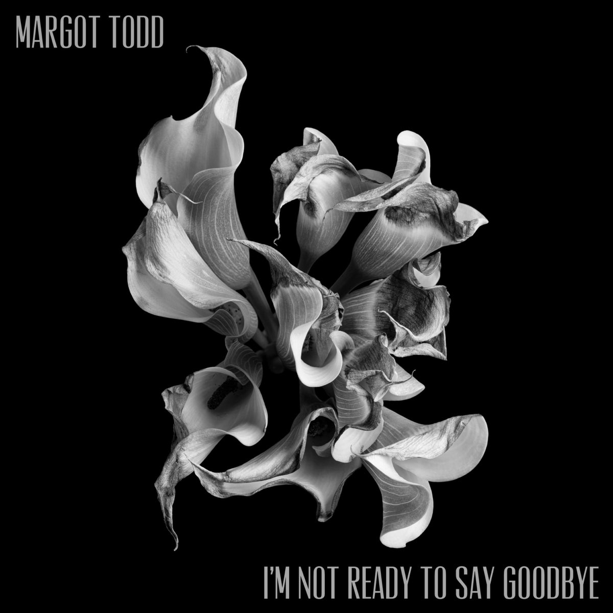 ‎I'm Not Ready To Say Goodbye - Single - Album by Margot Todd - Apple Music