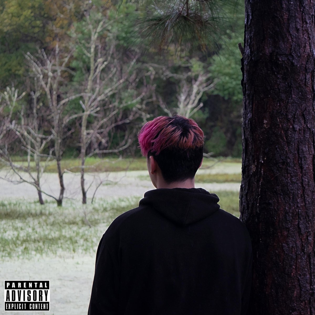 ‎Альбом «Goth Girl (Prod. THERSX) - Single» — Yung B — Apple Music