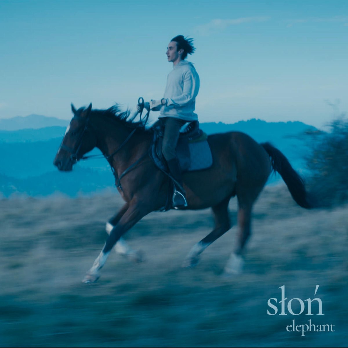 ‎Elephant (Original Motion Picture Soundtrack) - Album by Jan Ignacy ...