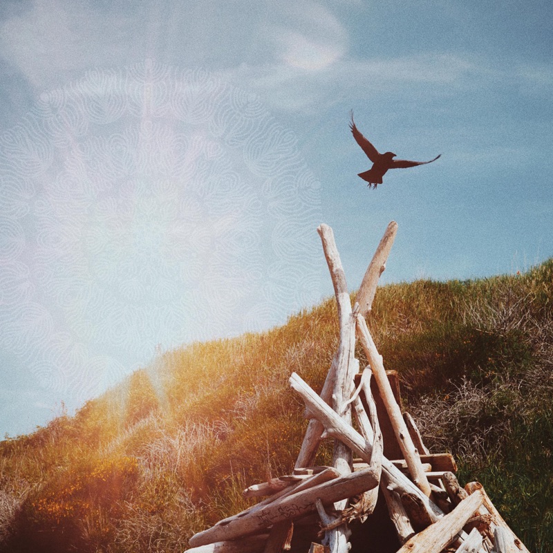 Last Nomad - VOLO: Song Lyrics, Music Videos & Concerts