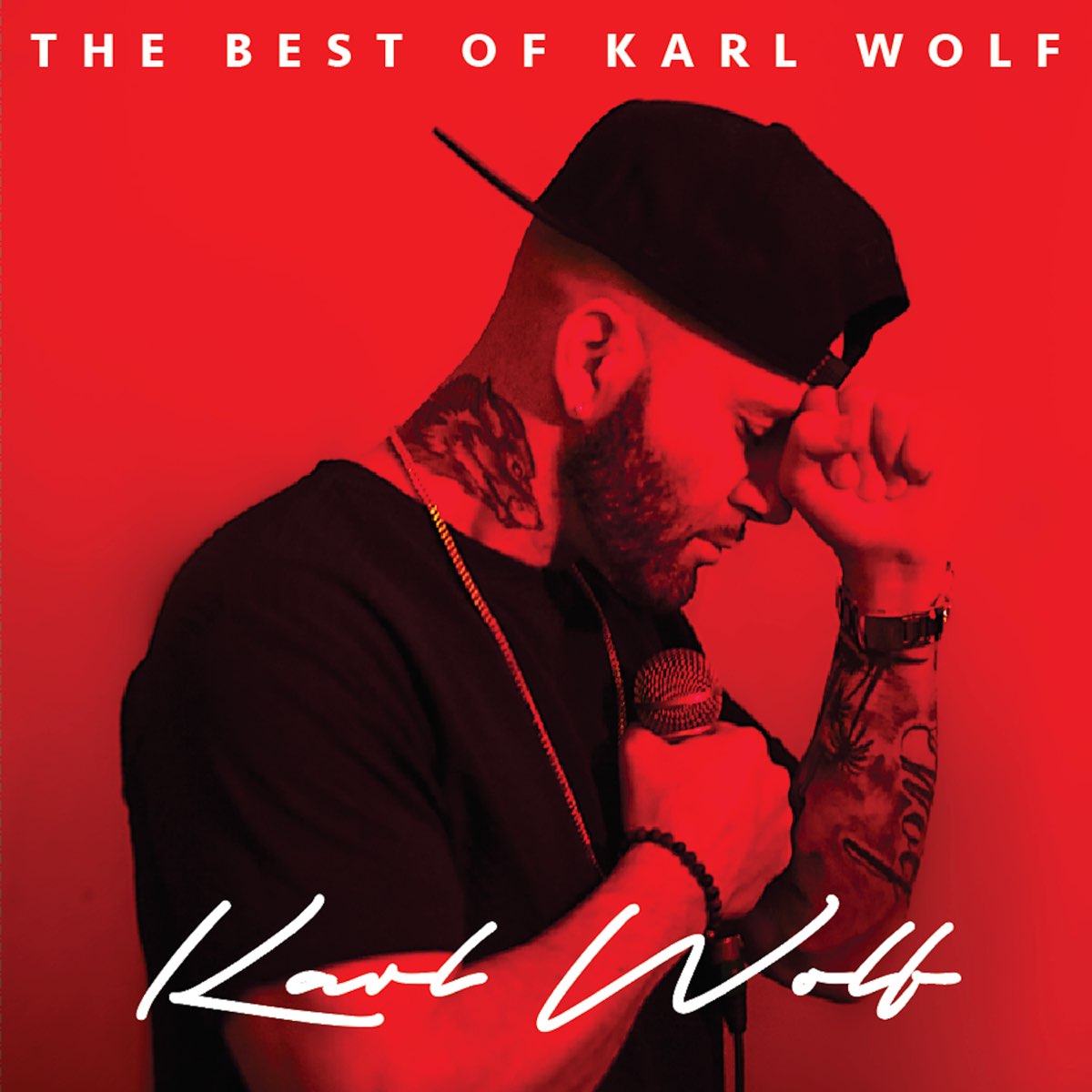 ‎Best Of Karl Wolf - Album by Karl Wolf - Apple Music