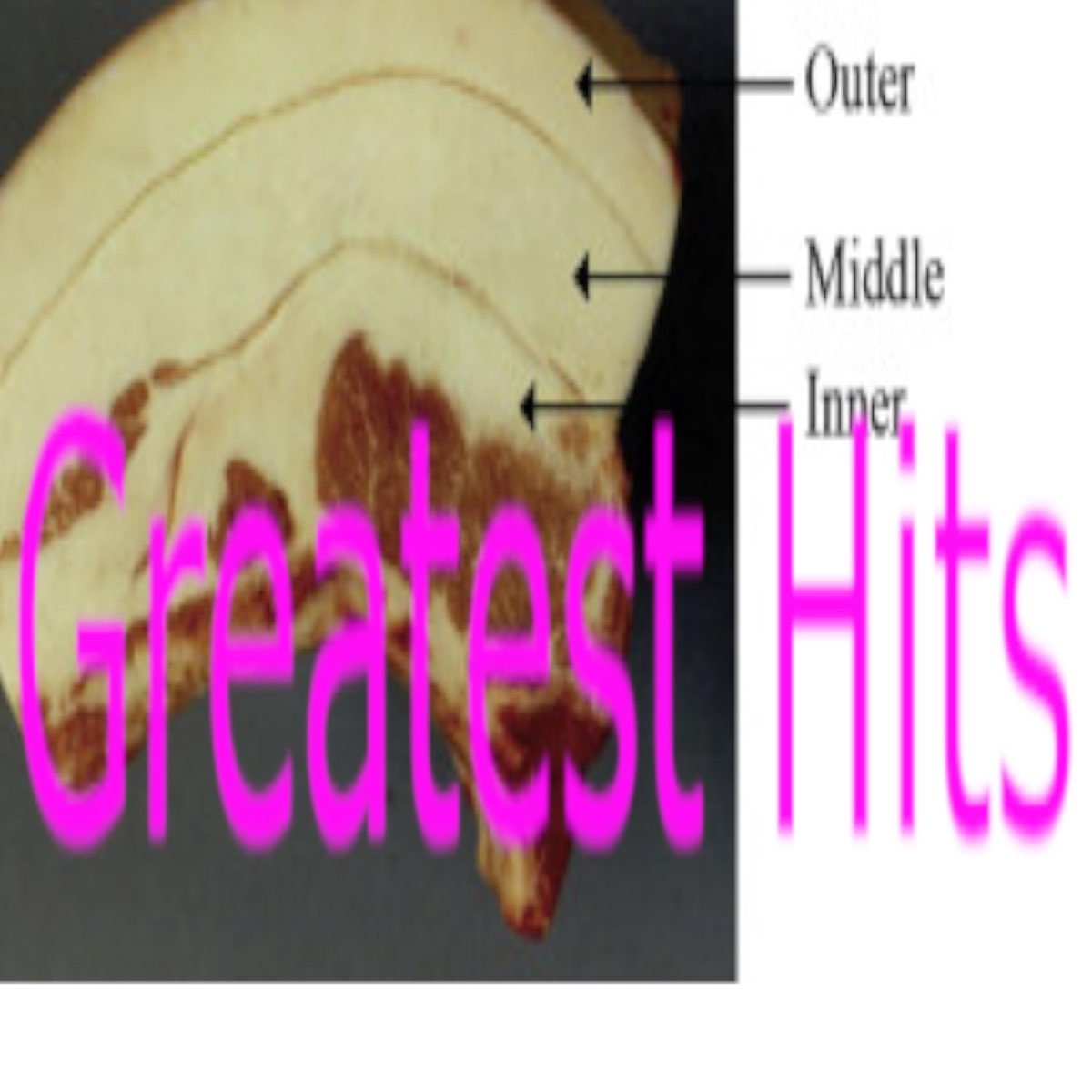 ‎Greatest HIts - Album by Gerbert Song Band - Apple Music