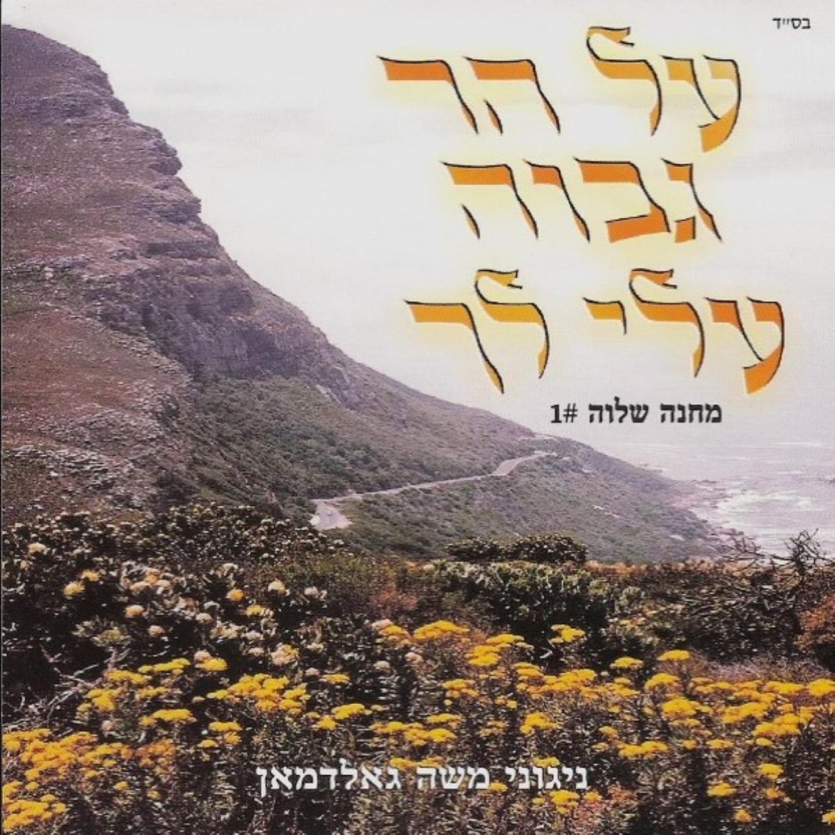 ‎Camp Shalva 01, Al Har Gevoa - Album by משה גאלדמאן - Apple Music