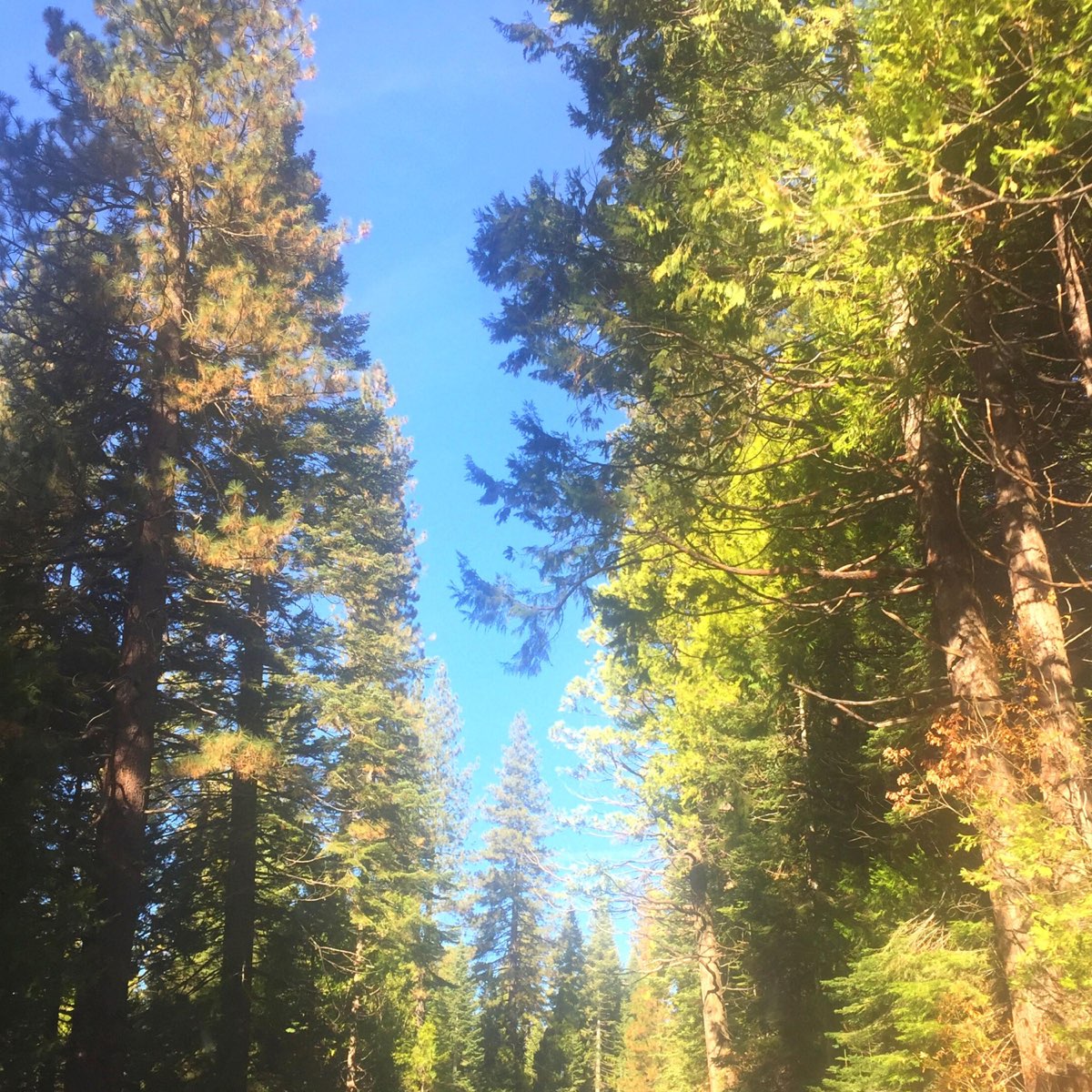 ‎The Changes - Single - Album by Timothy Turtle - Apple Music