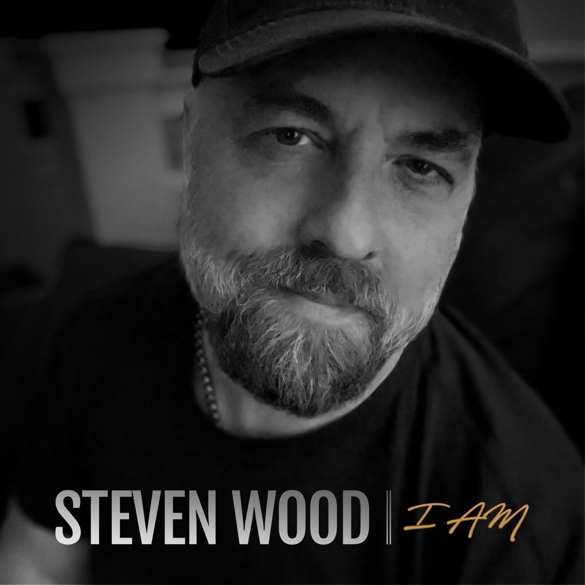 ‎I Am - Single - Album by Steven Wood - Apple Music