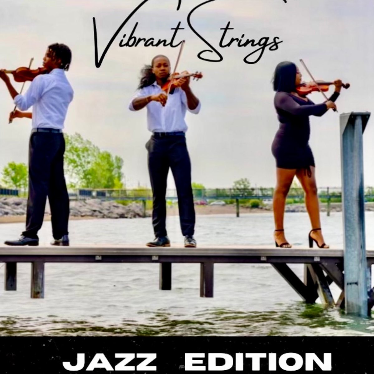 ‎Vibrant Strings Jazz Edition - EP – Album par Vibrant Strings – Apple Music