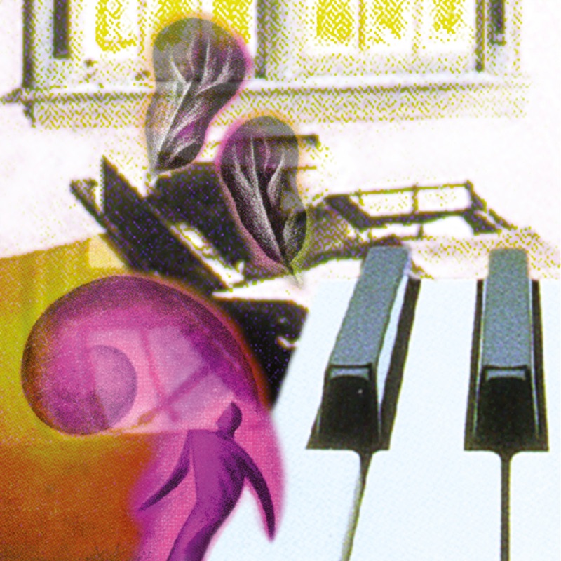 Cohiba and Rum - Andy Ezrin & Chris Hajian: Song Lyrics, Music Videos ...