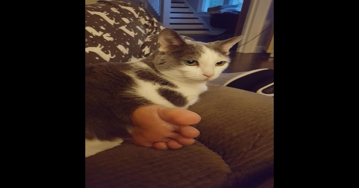 ‎Suckin My Toes - Single - Album by Hxntai - Apple Music