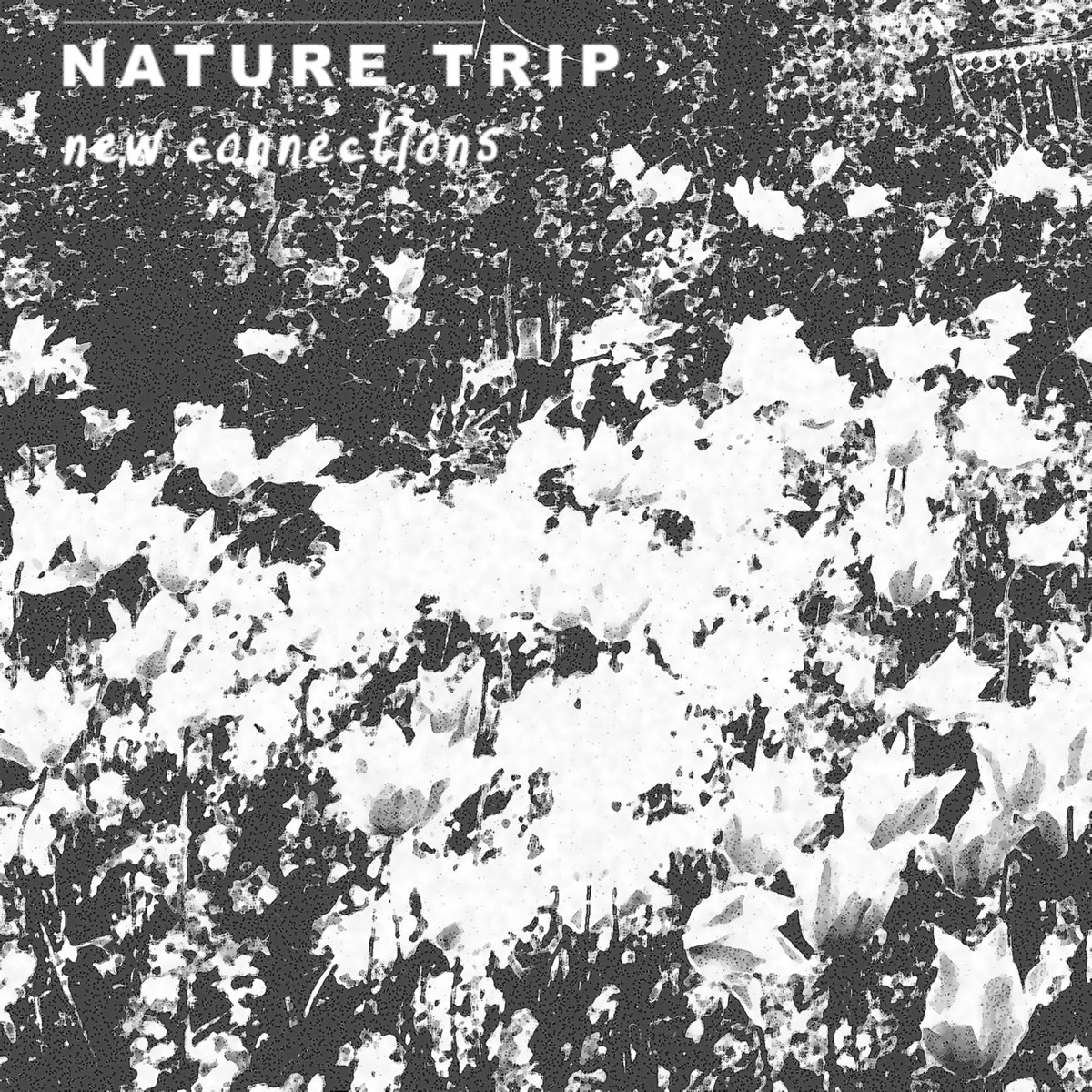 ‎New Connections - Album by Nature Trip - Apple Music