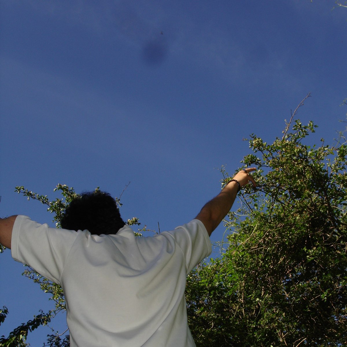 ‎Wi Wi - Single - Album by YSO Blank - Apple Music