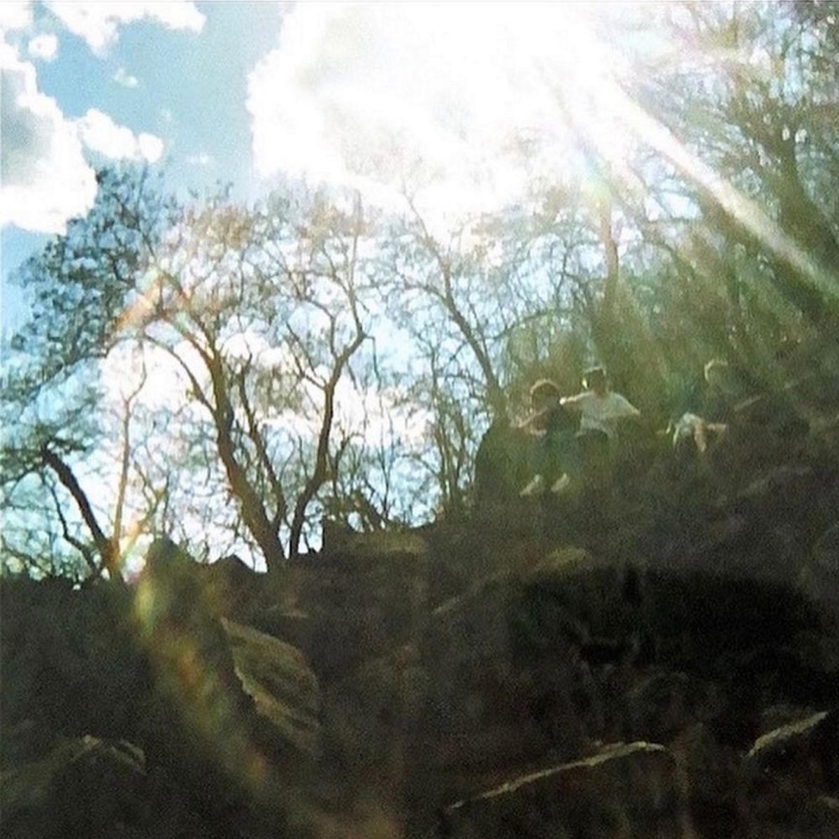 Angus Wayne | Instagram, TikTok | Linktree