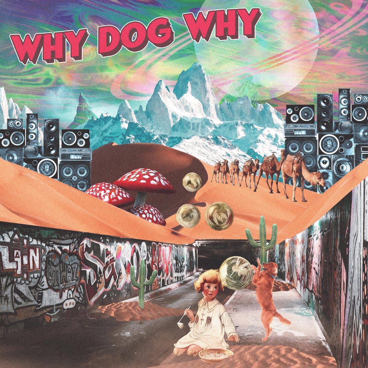 ‎Flannel Retentive (feat. Andrew Synowiec, Sean Hurley & Jake Reed) - Single - Album by Why Dog ...