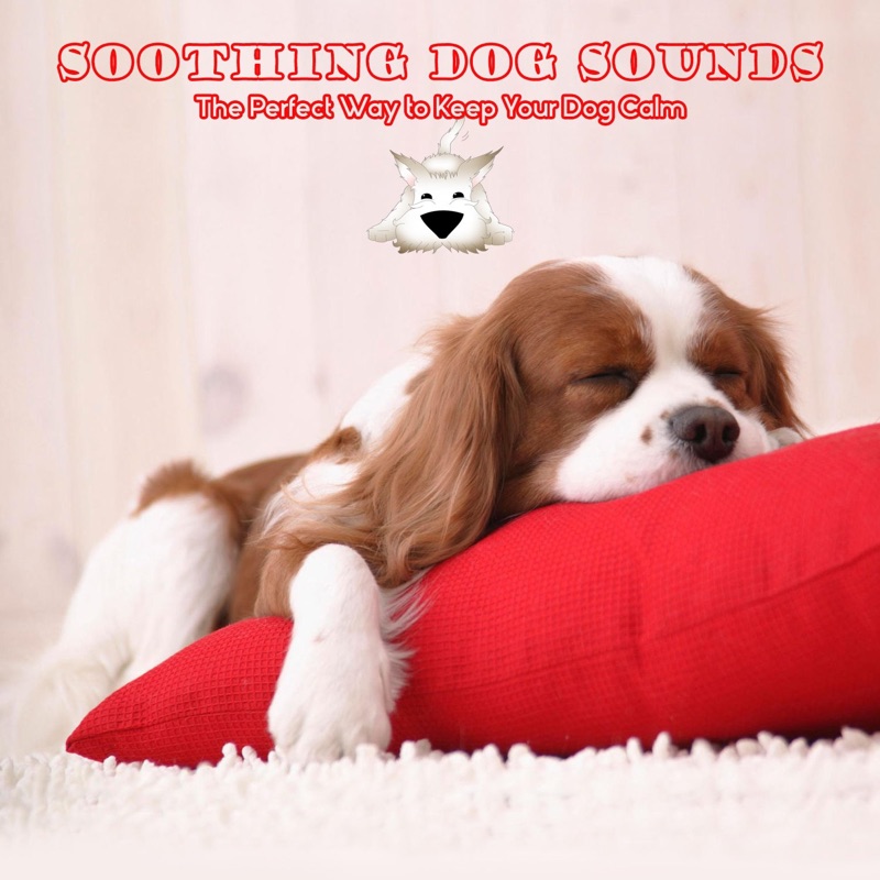 Ava's Lullaby - Soothing Dog Sounds & Kaybri: Song Lyrics, Music Videos ...