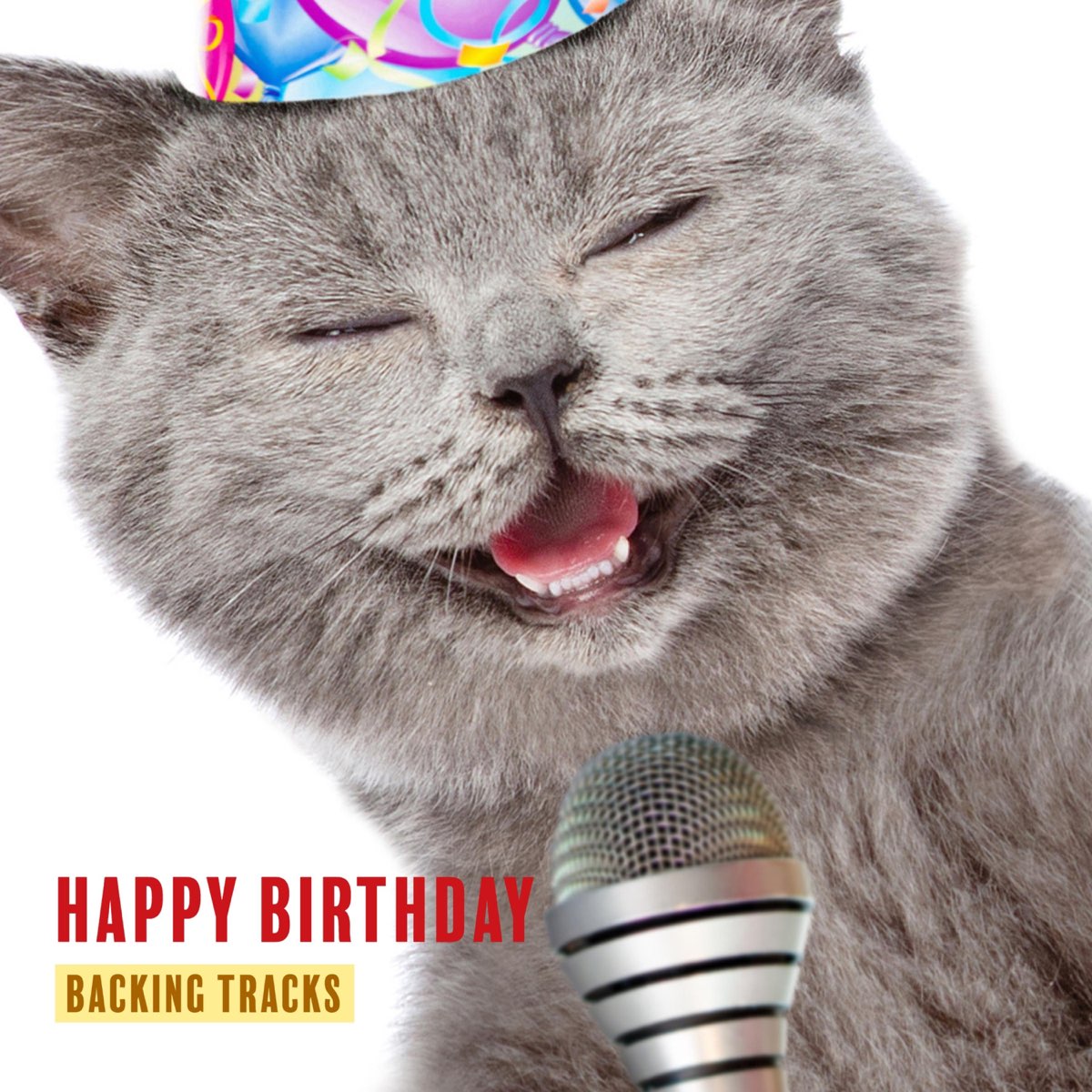 ‎Happy Birthday Instrumental Backing Tracks - Album by TunePocket Music ...