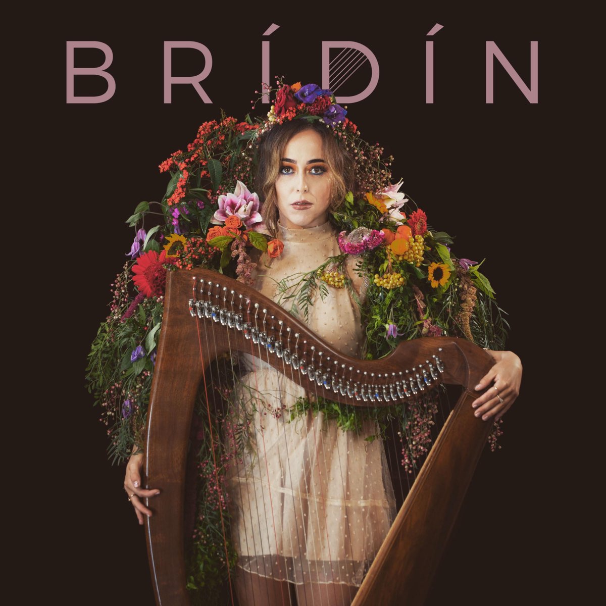 ‎Brídín by BRÍDÍN on Apple Music