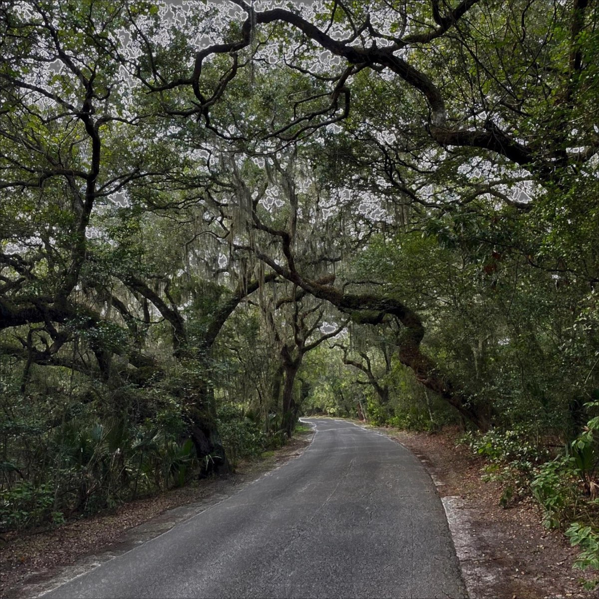 ‎Everything Is Fake - Single - Album by TaylorMae - Apple Music