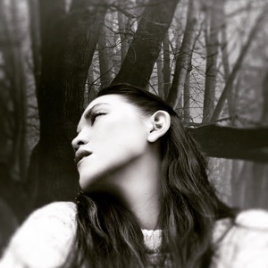 The Stag vs. The Hare - PHILDEL: Song Lyrics, Music Videos & Concerts