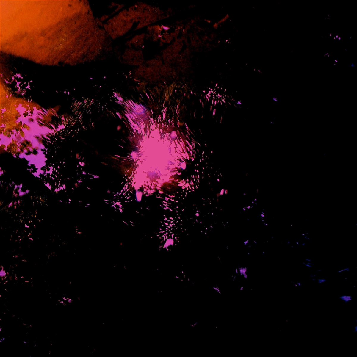 ‎You So Fly - Album by Ned Rainwater - Apple Music