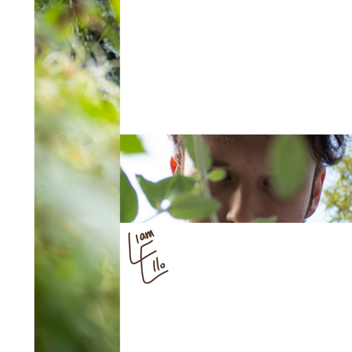 Lion and the Lamb - Single” álbum de liam ello en Apple Music