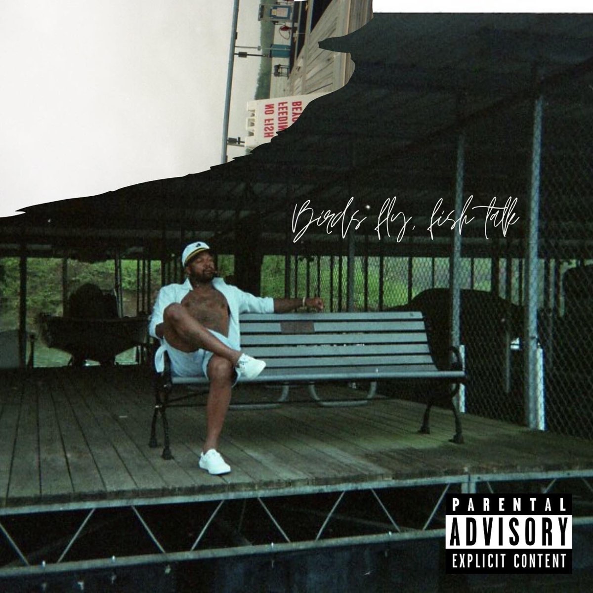 ‎Birds Fly, Fish Talk by Stone's Neighbor on Apple Music