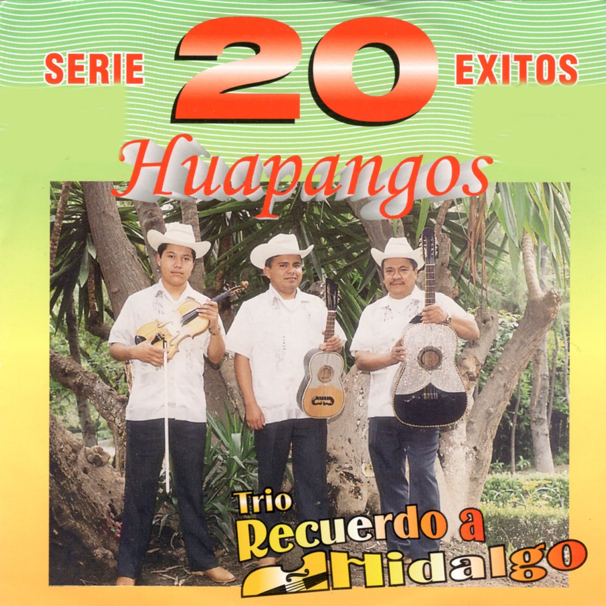 ‎Serie 20 Éxitos Huapangos - Album by trio recuerdo a hidalgo - Apple Music