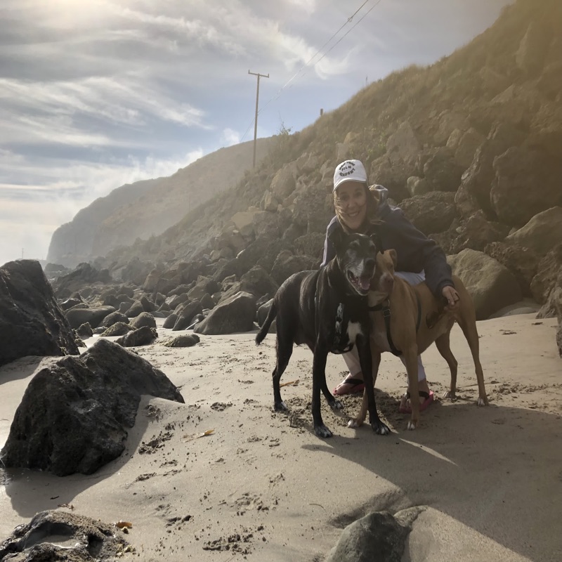 Santa Fe - Sandi Milne: Song Lyrics, Music Videos & Concerts