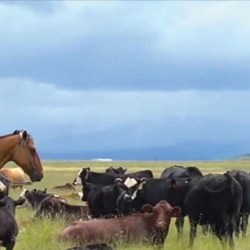 Mbn (feat. P4rkr) - luvbackpack: Song Lyrics, Music Videos & Concerts