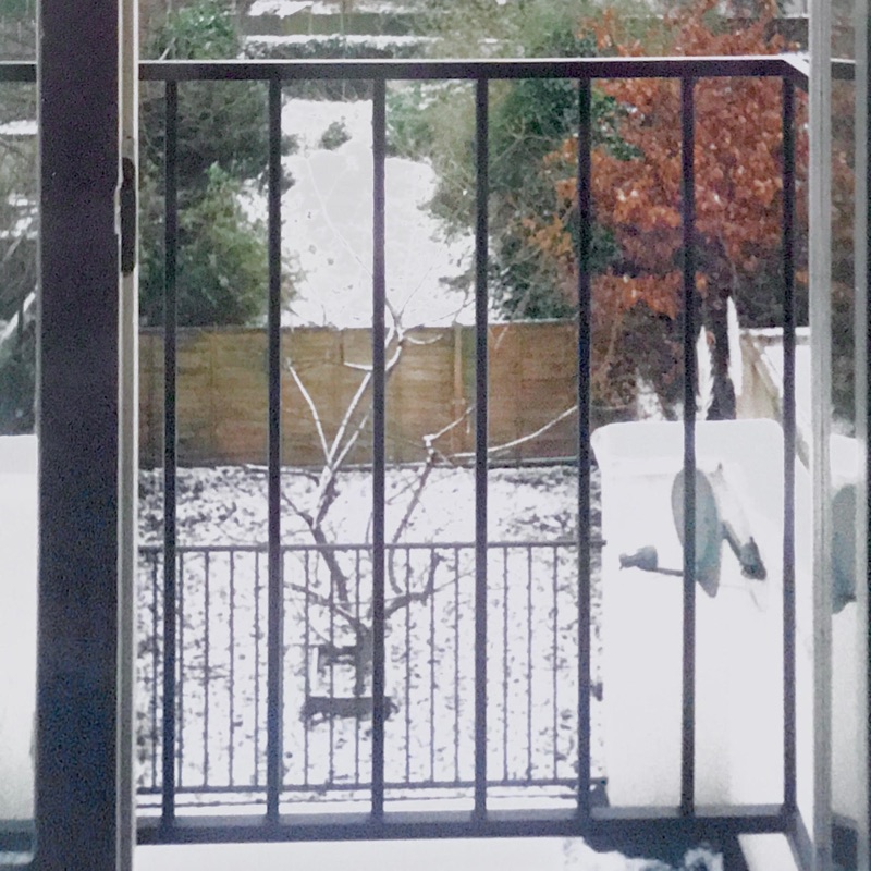 The Shotgun Is the Tooth of an Animal - Watson: Song Lyrics, Music ...