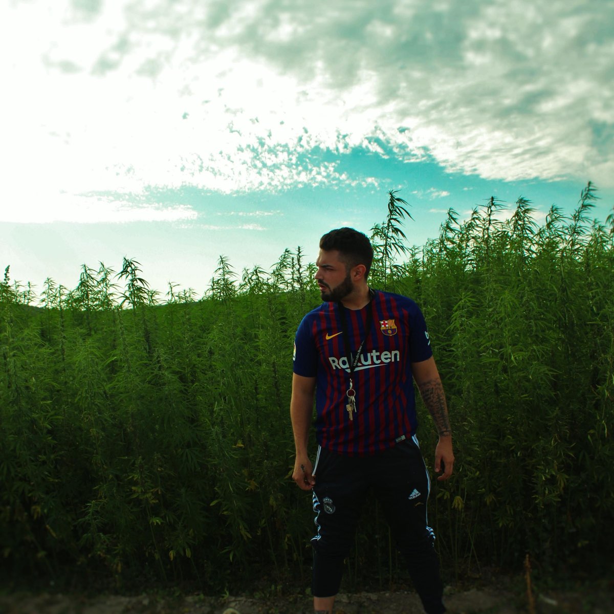 Polvo - Single” álbum de CC CC en Apple Music