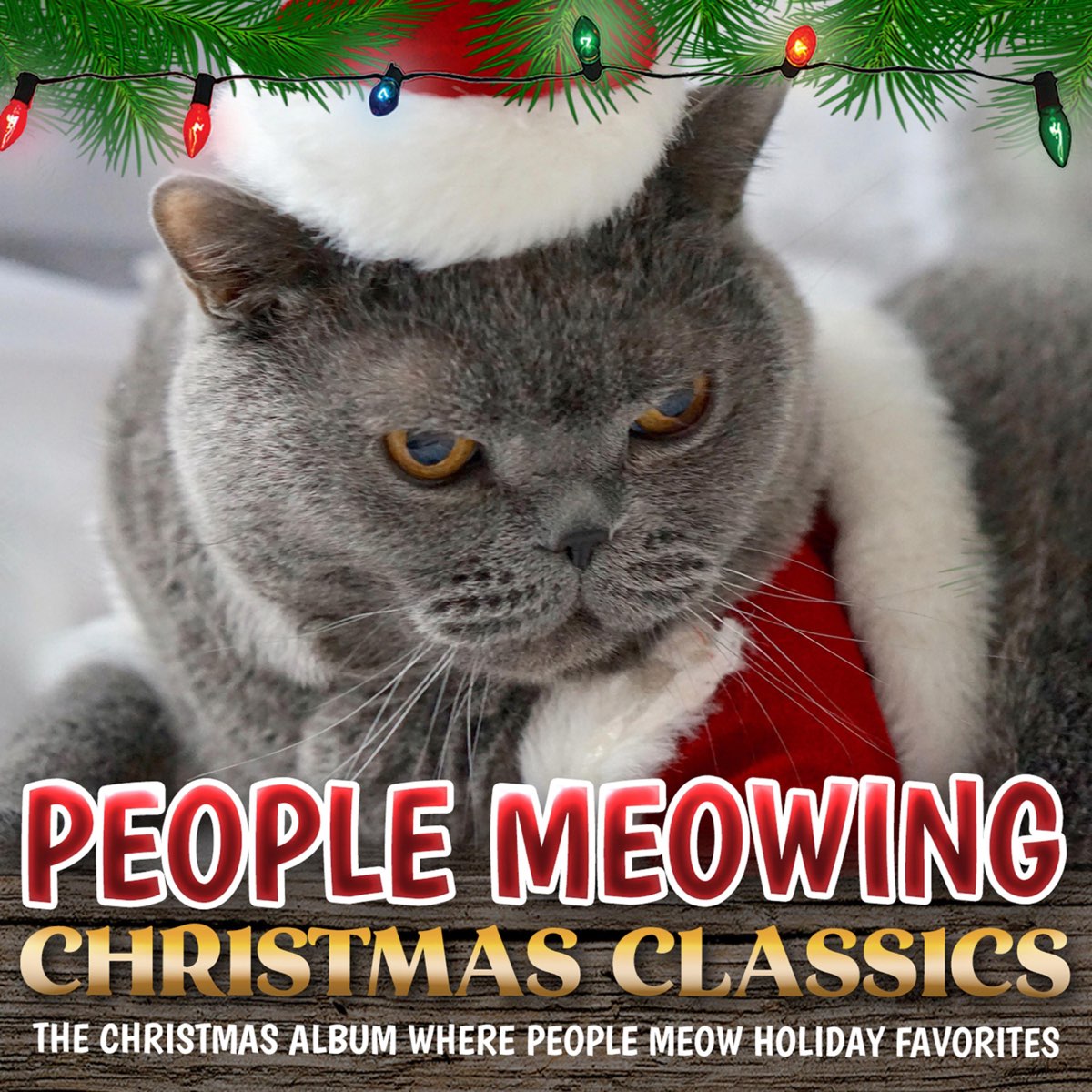 ‎People Meowing Christmas Classics by Book Mayhem on Apple Music